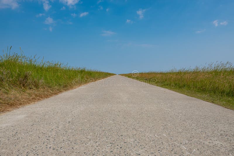 The straight path stock photo. Image of like, pasture - 40541012
