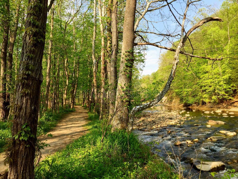 Path by the stream stock photo. Image of springtime, bedford - 56245656