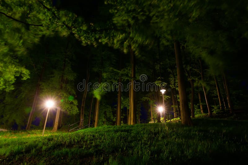 Lamps in the forest stock photo. Image of forest, lamp - 127627044