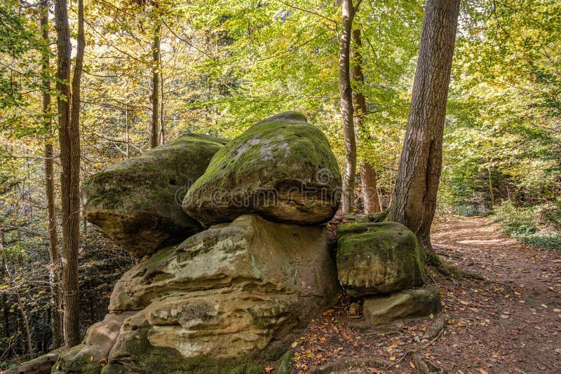 Path Stretching Next To Huge Rocks in the Forest with Dense Trees Stock ...