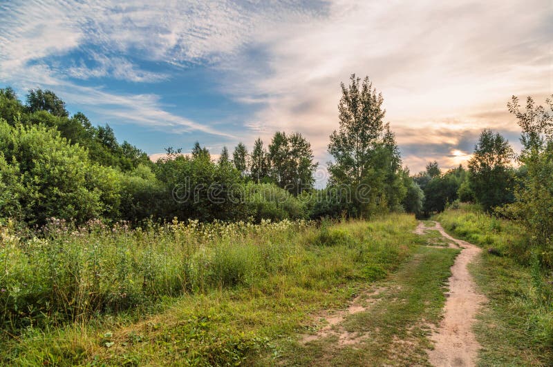 Path in a Summer Field in Sunset Time Stock Photo - Image of ...