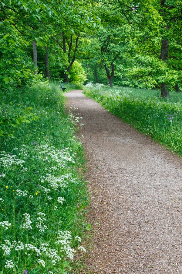Footpath in summer woods stock image. Image of footpath - 32361313