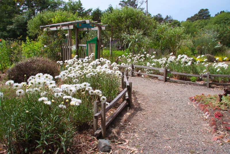 Path in summer garden stock image. Image of gate, rustic - 26167535