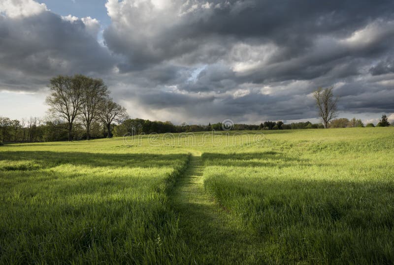 Summer hayfield stock photo. Image of farm, rural, farmland - 3111336
