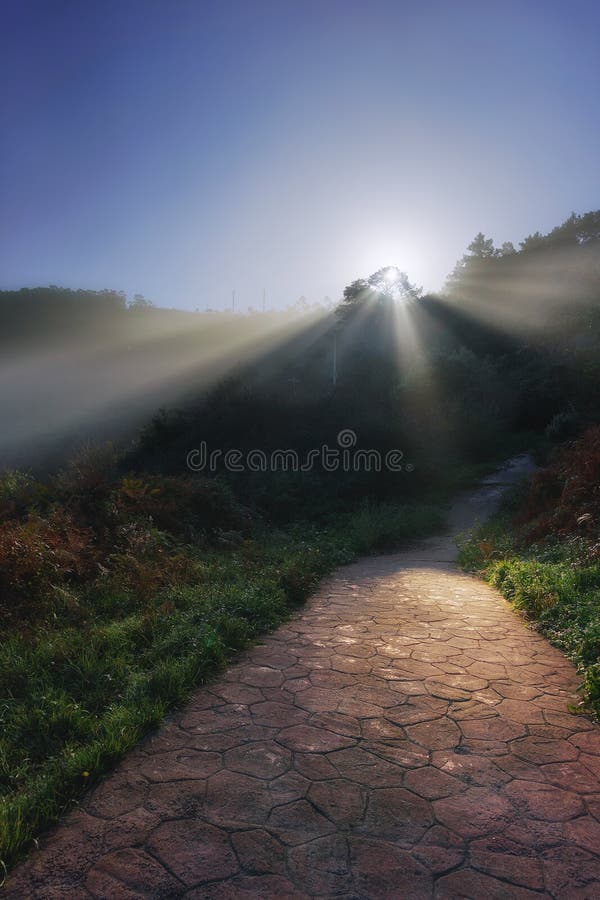 Pathway with sun rays stock photo. Image of mosaic, footpath - 33435878