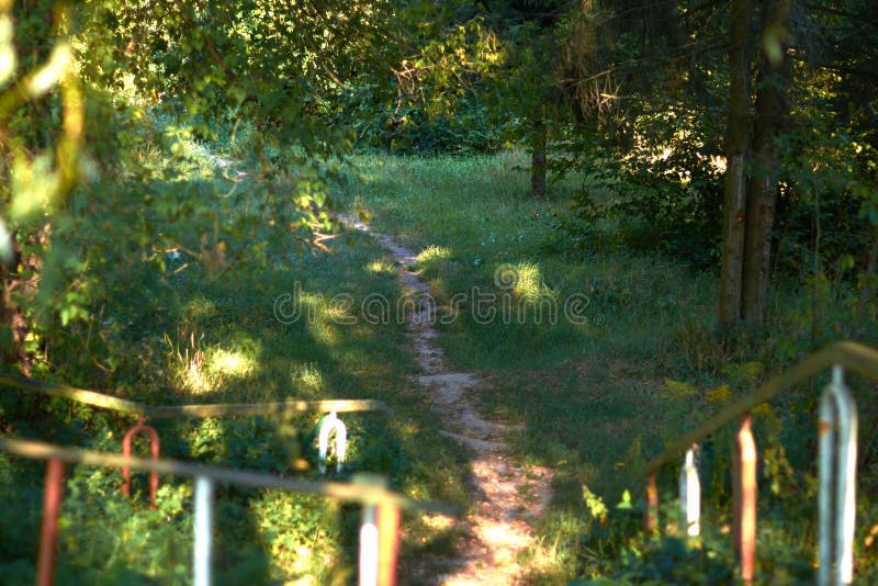 A Path in a Sunny September Day in the Park. Stock Image - Image of ...
