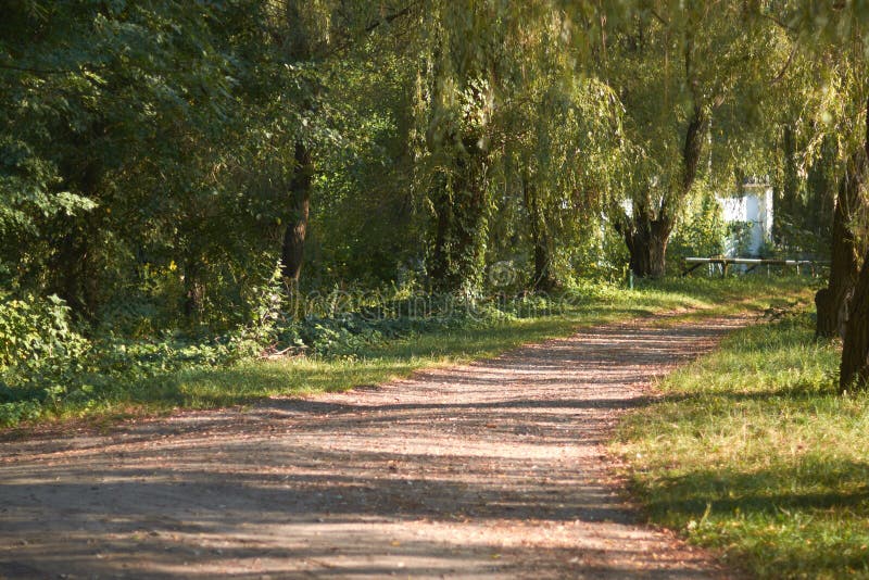 A Path in a Sunny September Day in the Park. Stock Photo - Image of ...