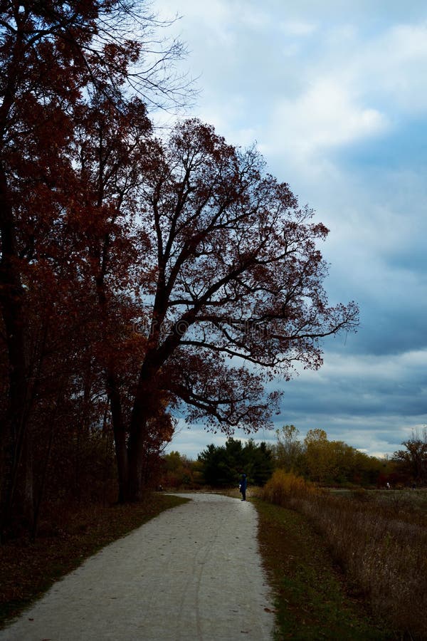 Path Surrounded Autum Trees Stock Photos - Free & Royalty-Free Stock ...