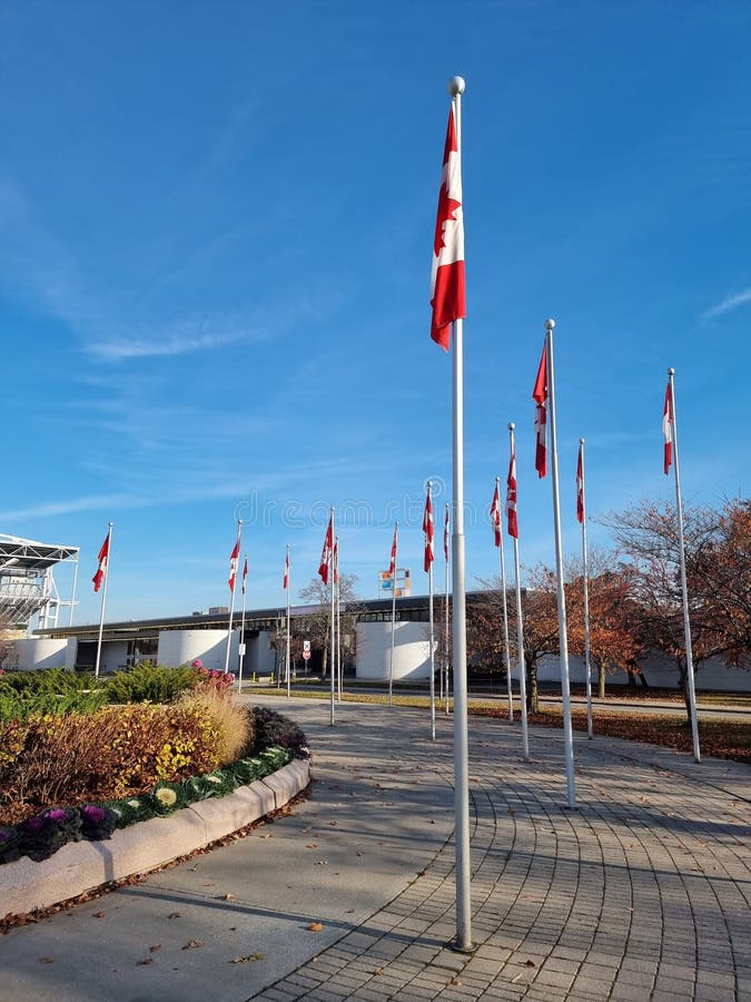 Path Surrounded by Canadian Flags in Toronto Stock Image - Image of ...
