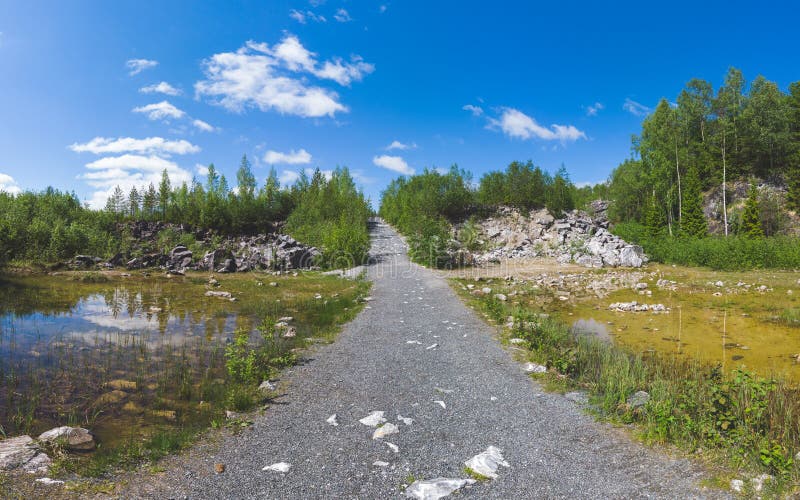 Path through the Swamp in the Forest. Muddy Pond. Pile of Stones Stock ...