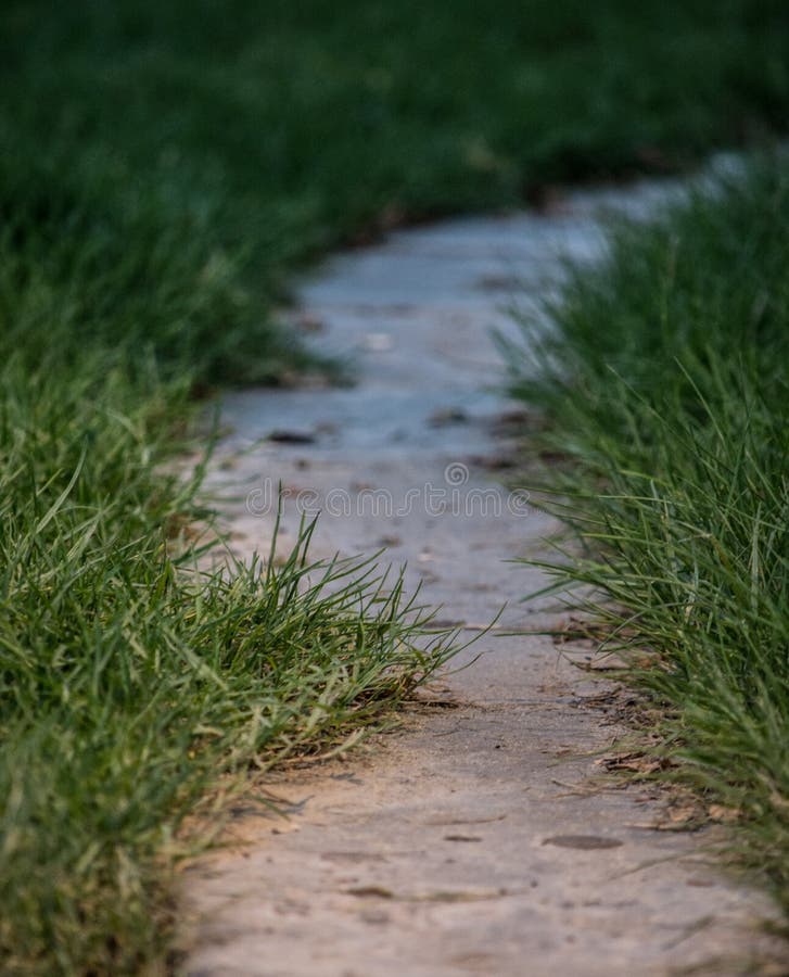 A path stock image. Image of target, lost, path, reach - 45280315