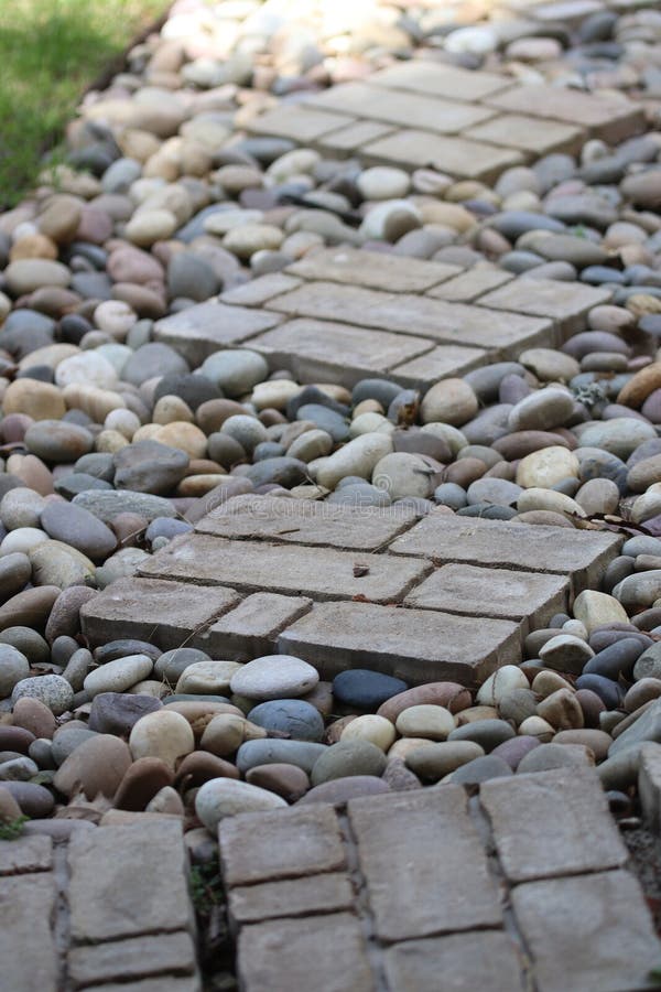 Path of Tan Cement Brick Stepping Blocks Surrounded by Large Smooth ...