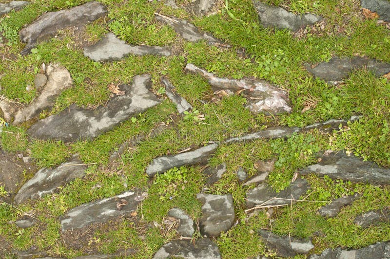 Path texture stock photo. Image of pathway, thessaloniki - 19445434
