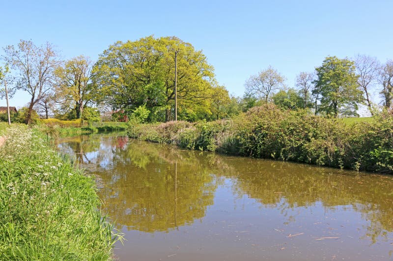 Path by the Tiverton Canal, Devon Stock Image - Image of devon, tree ...