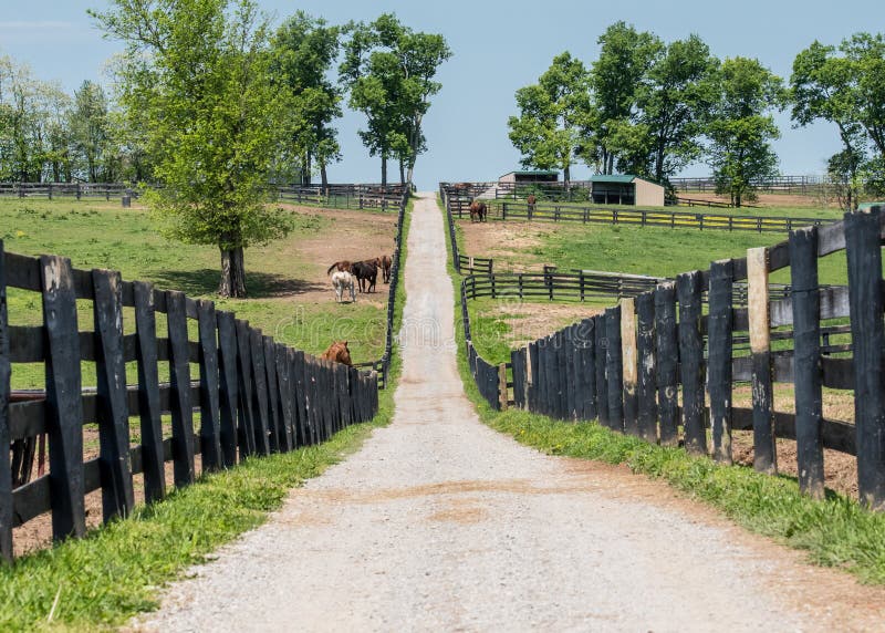 The Path To the Back of the Farm Stock Image - Image of sports, field ...