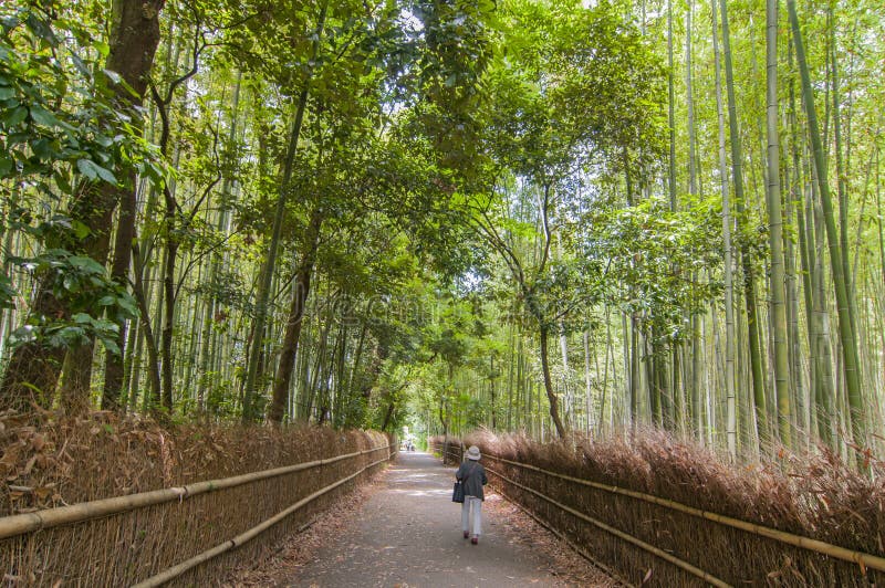 Path To Bamboo Forest, Arashiyama, Kyoto, Japan Editorial Image - Image ...