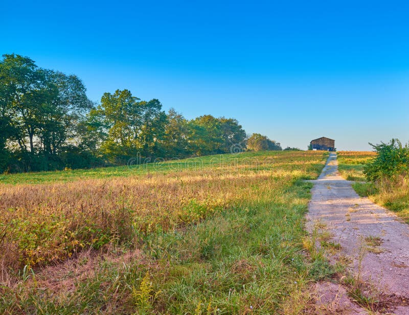 Path to a Barn stock image. Image of agriculture, green - 140718581