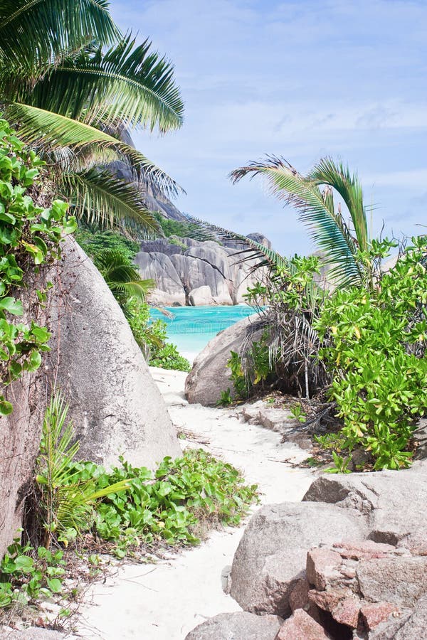 Path to the beach stock photo. Image of blue, destinations - 10840702
