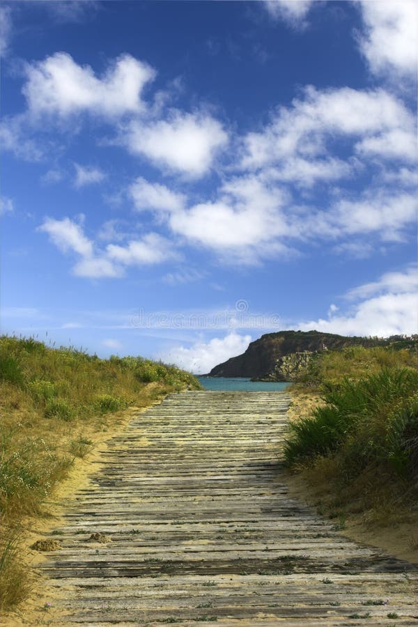 Path to the Beach stock image. Image of paradise, environment - 3155357
