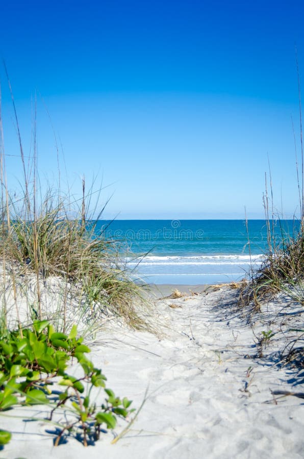 Beautiful Beach Path Scene with Sea Oats Stock Image - Image of ...
