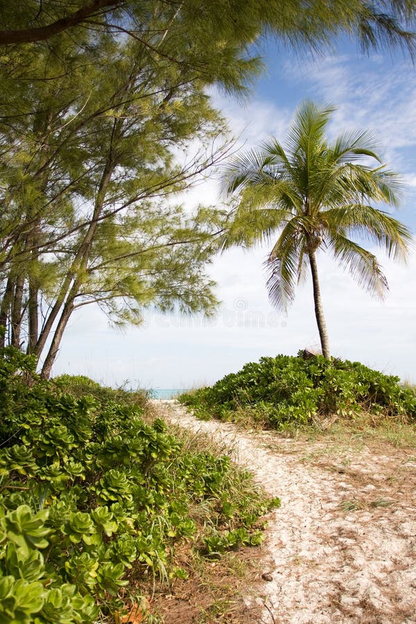 Path to beach stock photo. Image of white, blue, sandy - 4402148