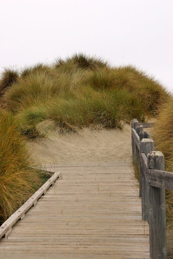 Path to the beach stock image. Image of wooden, foggy - 5789029