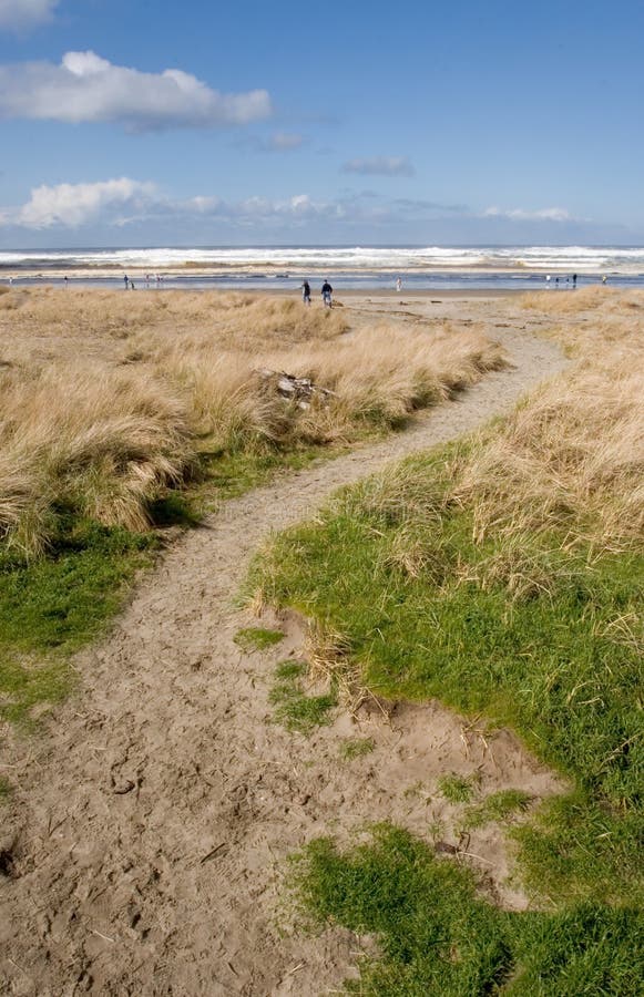 Path to the Beach stock photo. Image of grass, shoreline - 593218