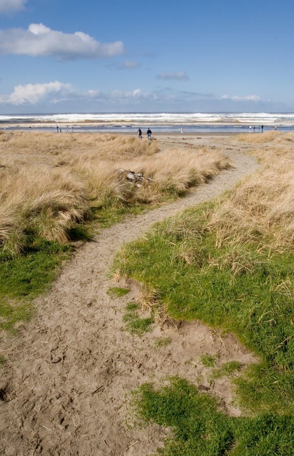 Path to the Beach stock photo. Image of grass, shoreline - 593218