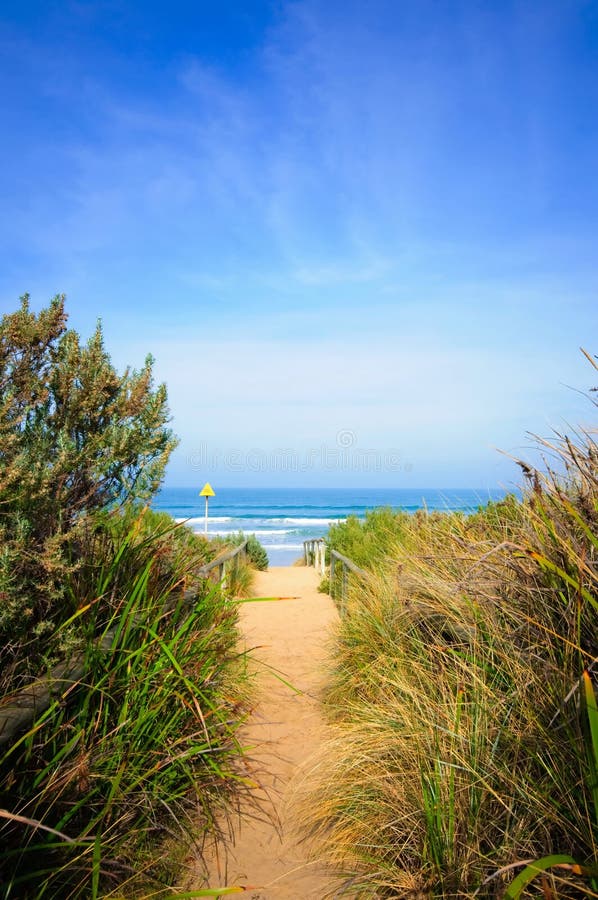 Path to a beach stock photo. Image of beautiful, beach - 9640552