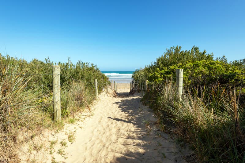 Path To the Beach stock image. Image of outdoor, meadow - 240712731