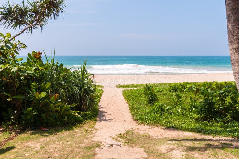Path to the beach stock image. Image of grass, path, sand - 37152755