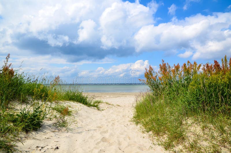 Path to the beach stock photo. Image of beach, dunes, coast - 2868008