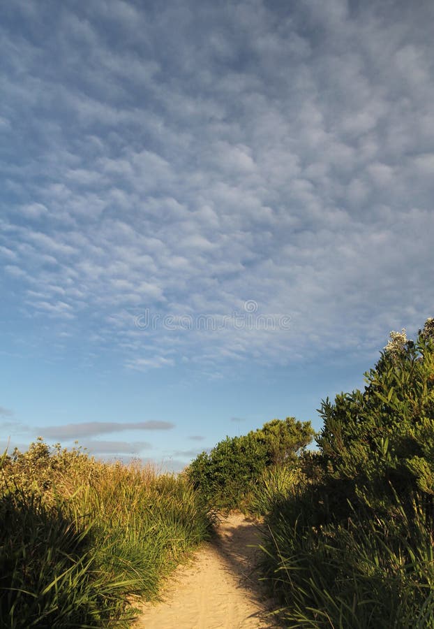 Oceanside Path To a Tropical Beach Stock Image - Image of waves, miami ...