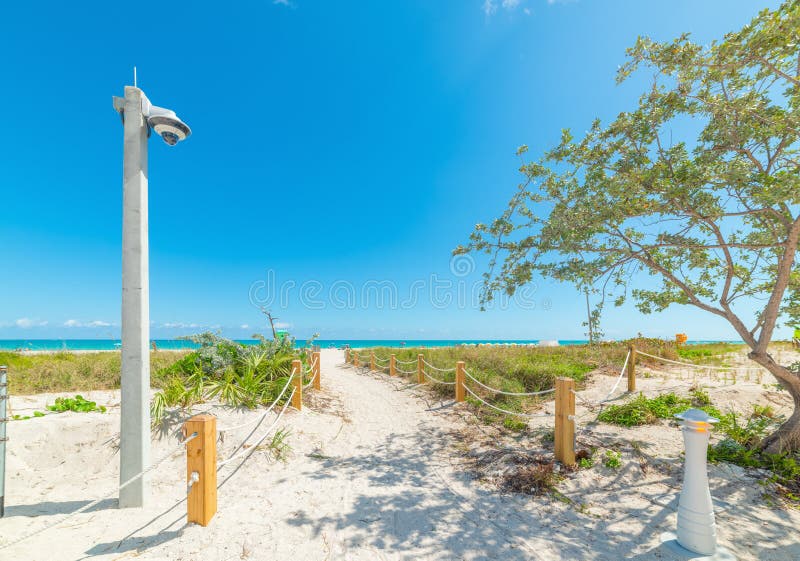 Path To the Beach in South Beach Stock Photo - Image of shoreline ...