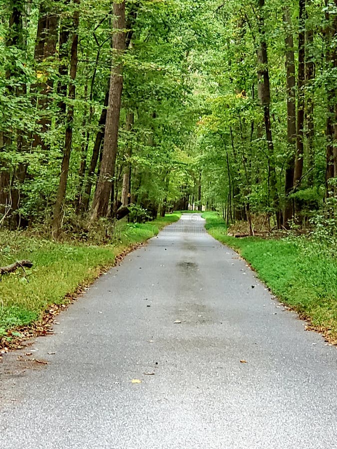 The path to creativity stock photo. Image of nature - 160778080