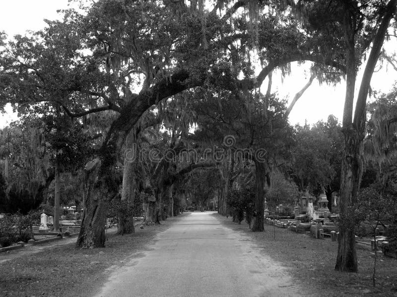 Path to the Dead stock photo. Image of boneventure, path - 1031984