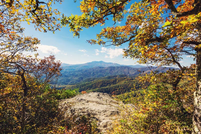 Path To the Edge of a Cliff Stock Photo - Image of horizon, sunlight ...