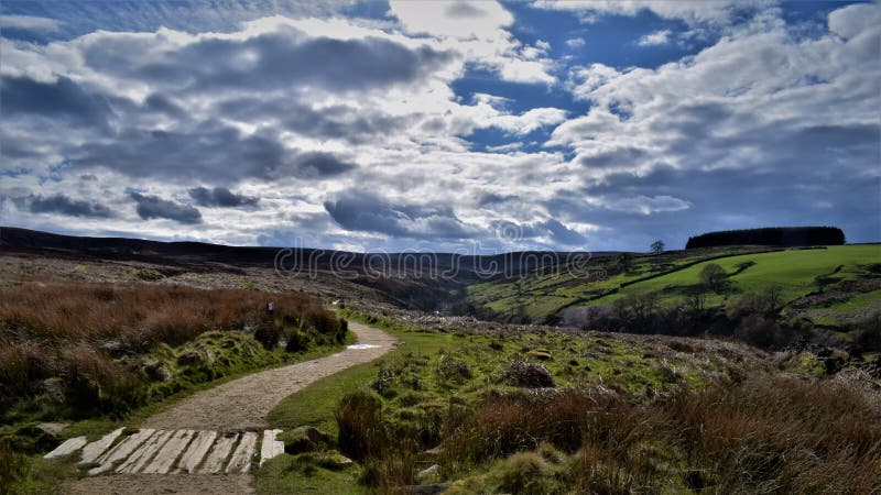 Path to the falls. stock image. Image of haworth, green - 91489361