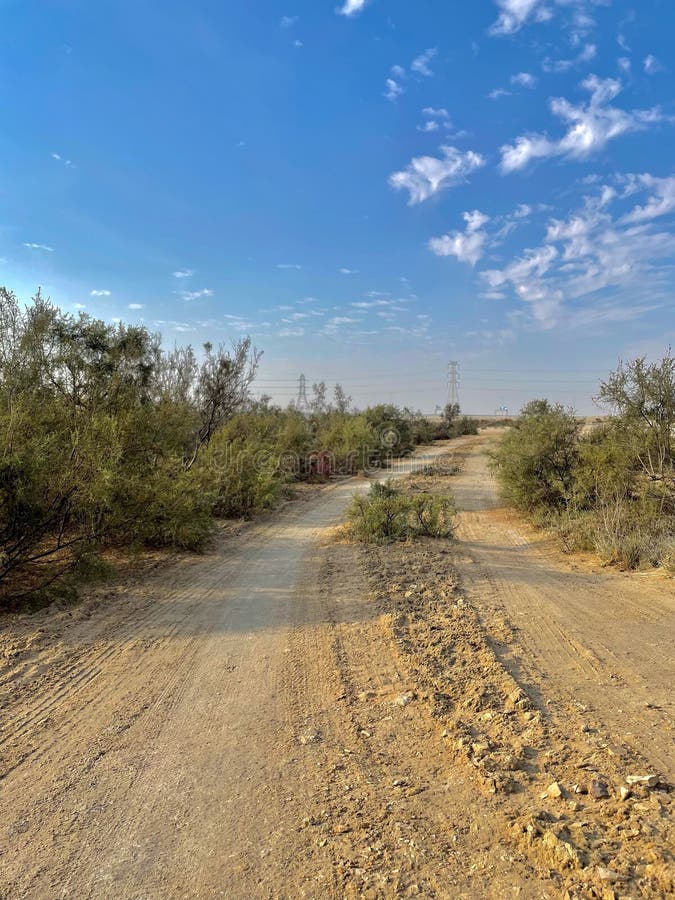 Path to finding a new way stock photo. Image of forest - 239201678