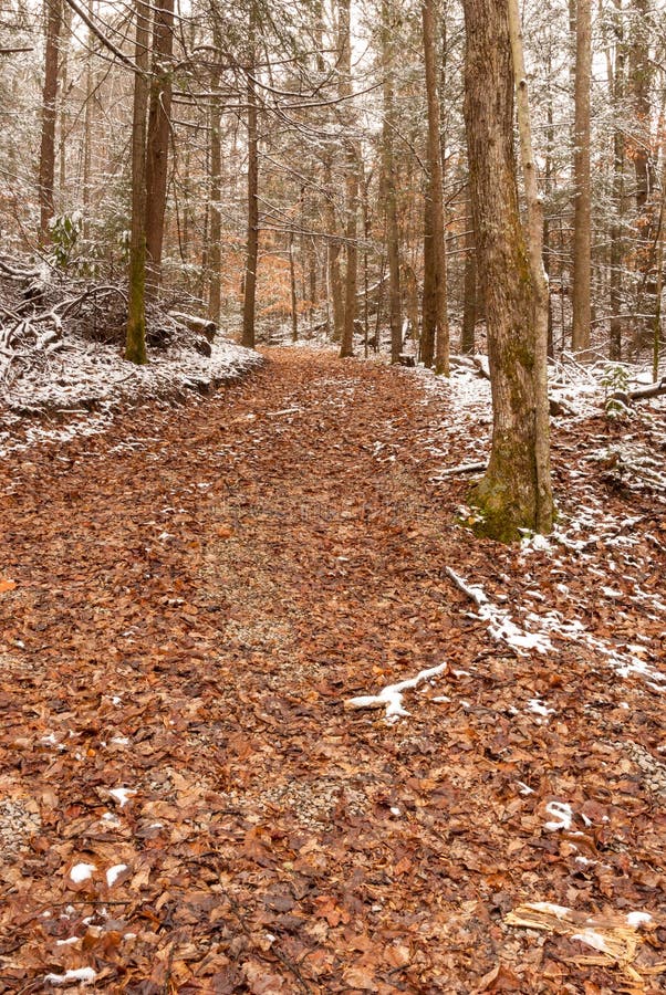 Path To Ford Cemetery in the Great Smoky Mountains Stock Photo - Image ...