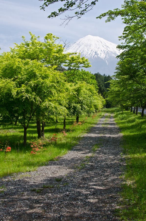 Path to Fuji stock image. Image of landmark, hiking, leaves - 25005543