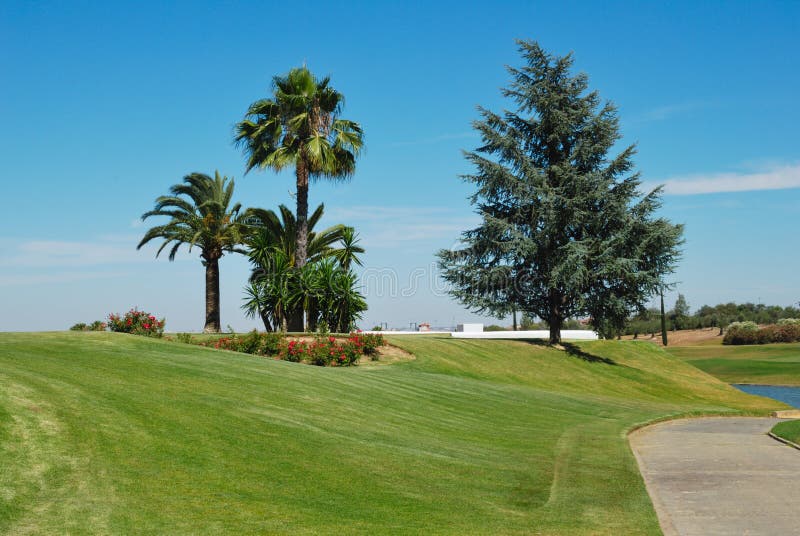 Path to golf course stock image. Image of sport, lawn - 25365459