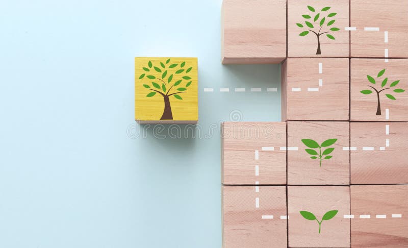 Path To Growth, Success Concept Stock Photo - Image of creativity, tree ...