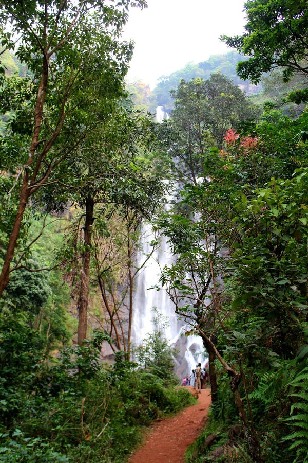 Hebbe Falls in Chikmagalur, Karnataka, India. Beautiful Waterfalls in ...