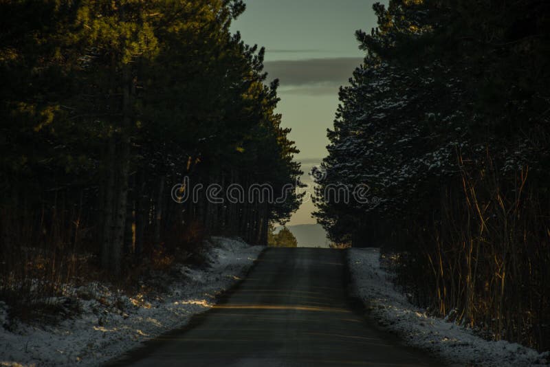 Path to hope stock photo. Image of high, road, post, woods - 84125006