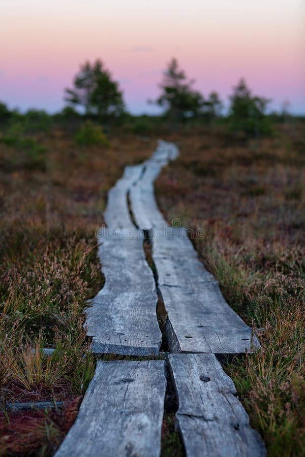 Path To the Horizon from the Boards Stock Image - Image of okinawa ...