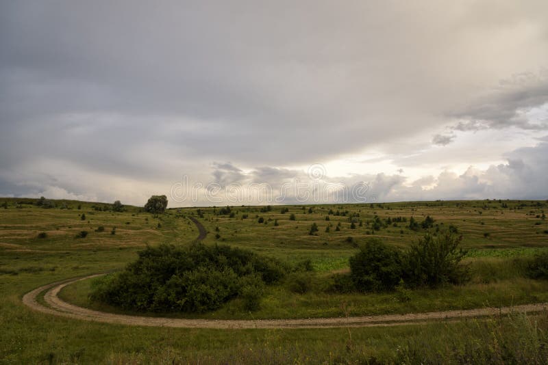 Path to the horizon stock photo. Image of road, forest - 89224206