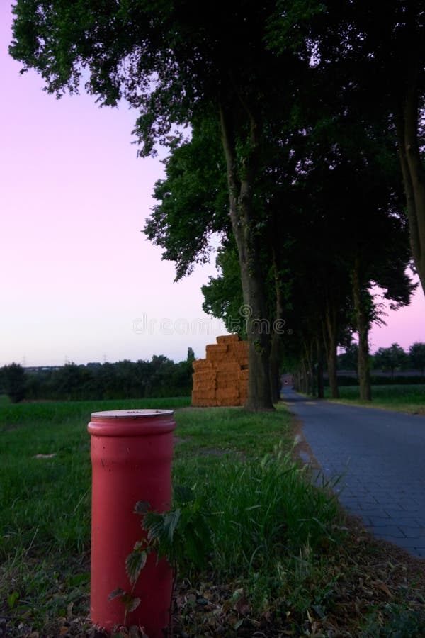 A path to a house stock photo. Image of clipart, meadow - 126970850
