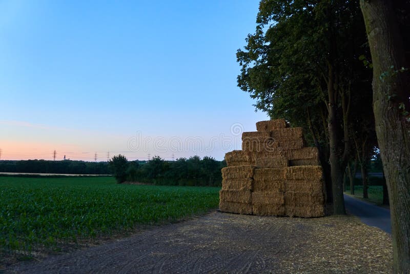 A path to a house stock photo. Image of lawn, architectural - 126970910