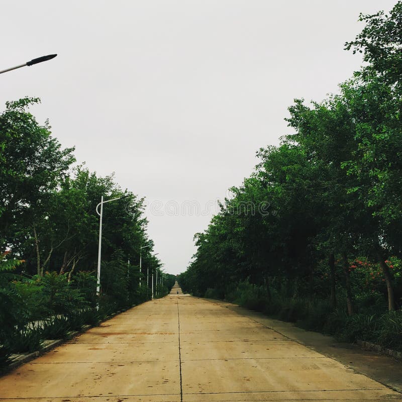 Path to infinity stock photo. Image of nature, infinity - 200301794